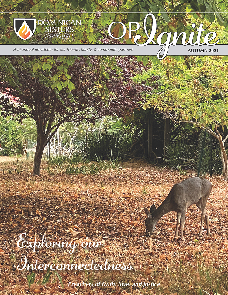 Our Story - Dominican Sisters of San Rafael