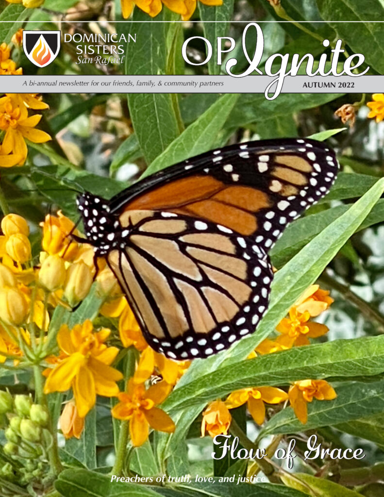 Our Story - Dominican Sisters of San Rafael