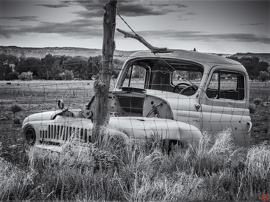 The Gift of Paradox - Dominican Sisters of San Rafael